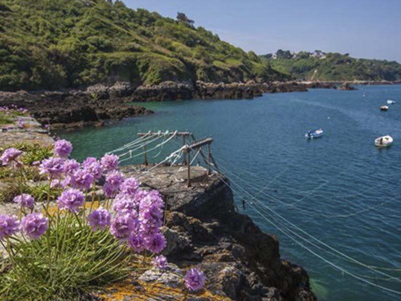 Les Piques Country Cottages